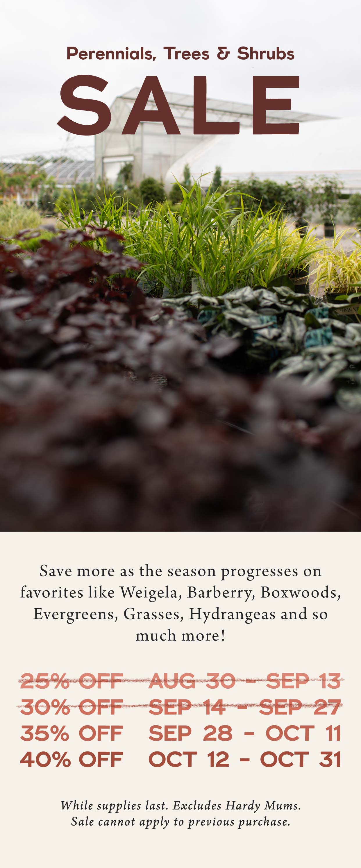 Hoen's Garden Center & Landscaping: Local, Family Owned Business